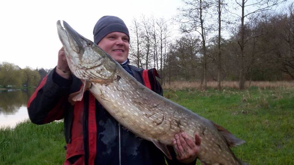 koegesportsfiskerforening.dk